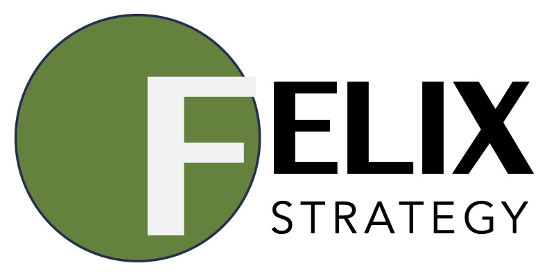 Felix Strategy – Mapping the future of mobility
